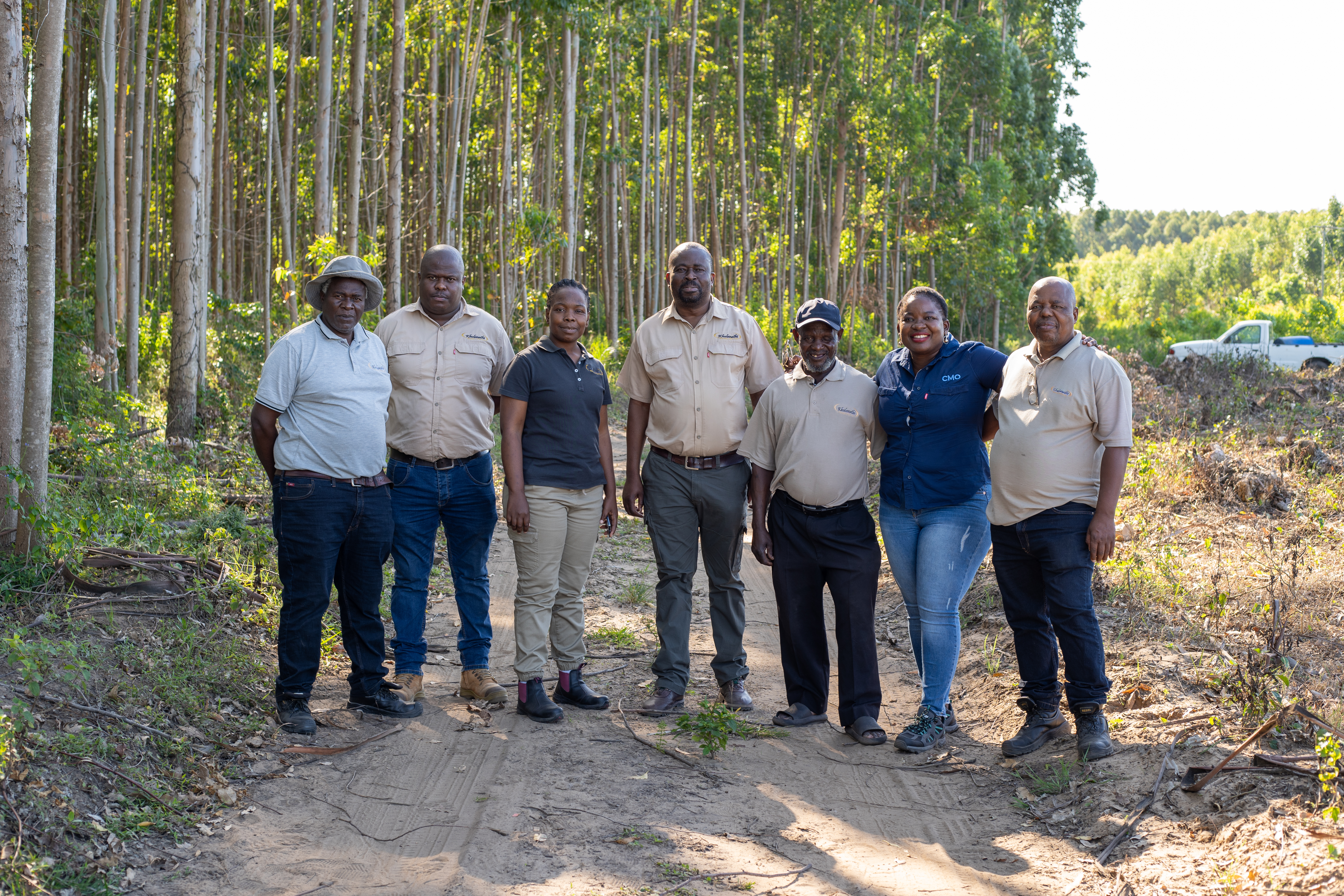 FSC breakthrough for small-scale tree farmers in Southern Africa | fsc.org